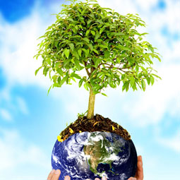 Forside-riskconsult.dk - Avichem