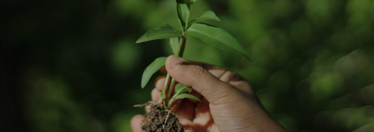 Green-deal-header - Avichem