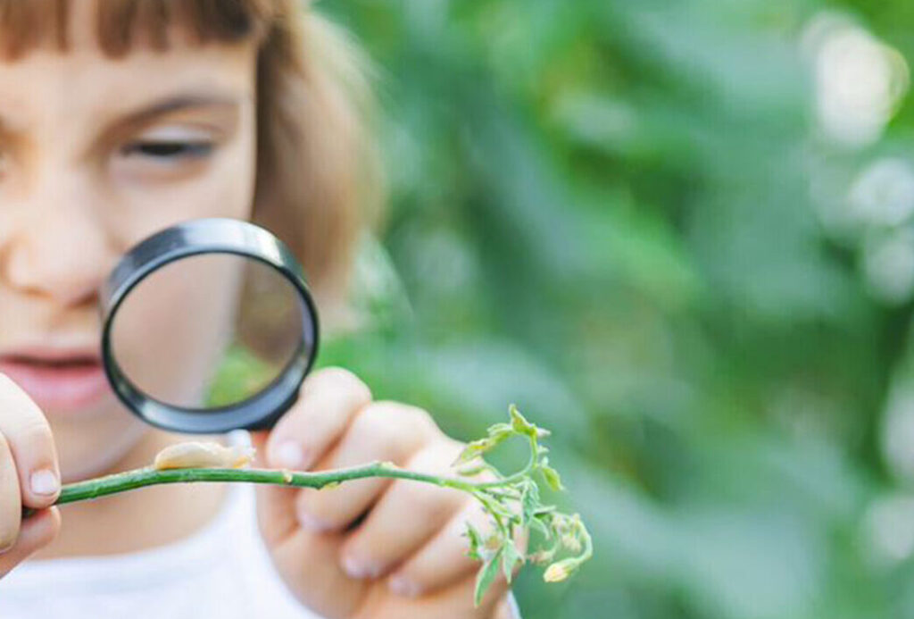 Livscyklusvurdering-underside-3 - Avichem