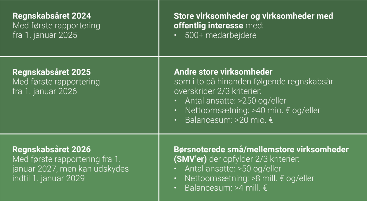 Deadline for CSRD rapportering - Avichem